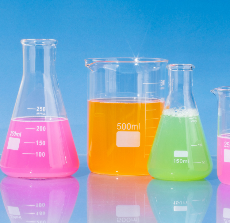 About – BelliWelli